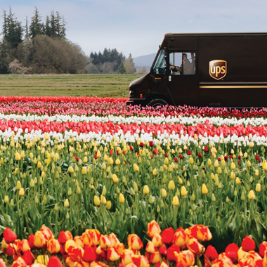 Progress Reports and Disclosures | About UPS