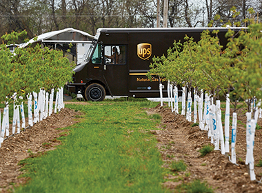 Progress Reports and Disclosures | About UPS